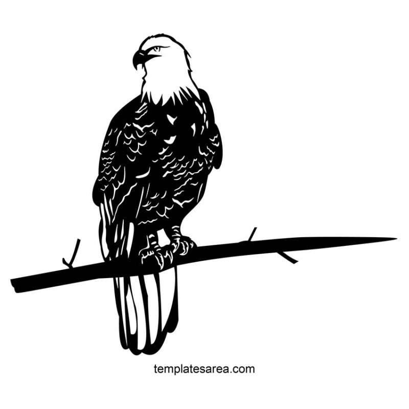 Download Free Eagle DXF Image for Laser Cutting - TemplatesArea