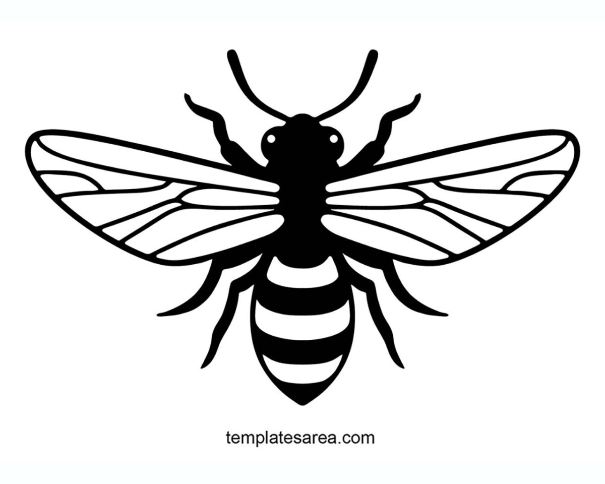 Free Bee SVG Cut Files and PNG Clipart Graphics - TemplatesArea