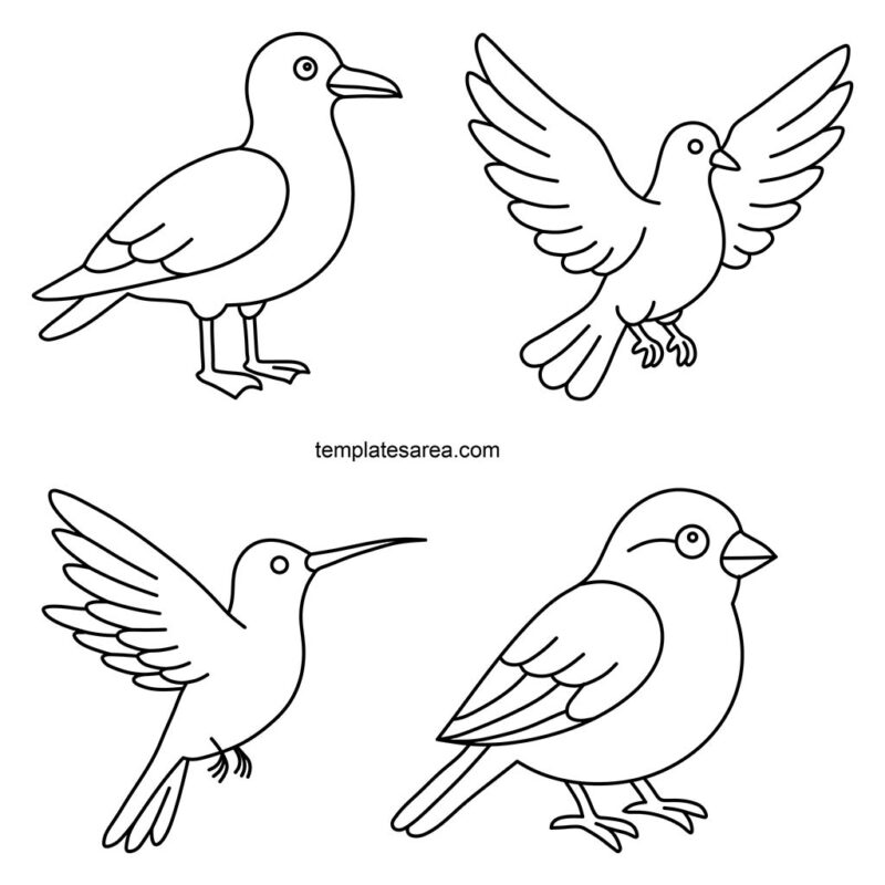 Free Printable Bird Templates PDF: Coloring & Craft - TemplatesArea